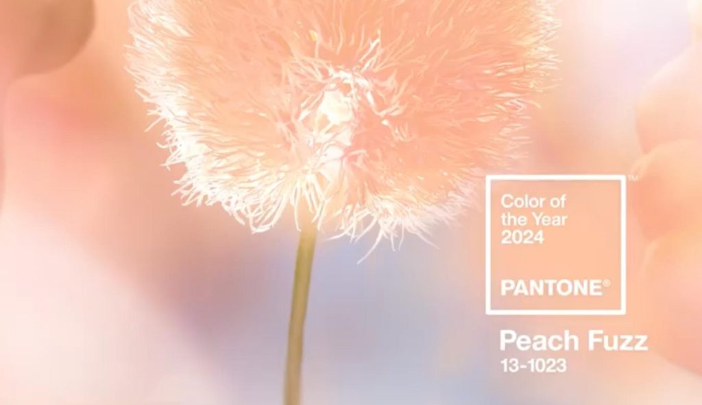 Peach Fuzz: El Color del Año 2024 según Pantone